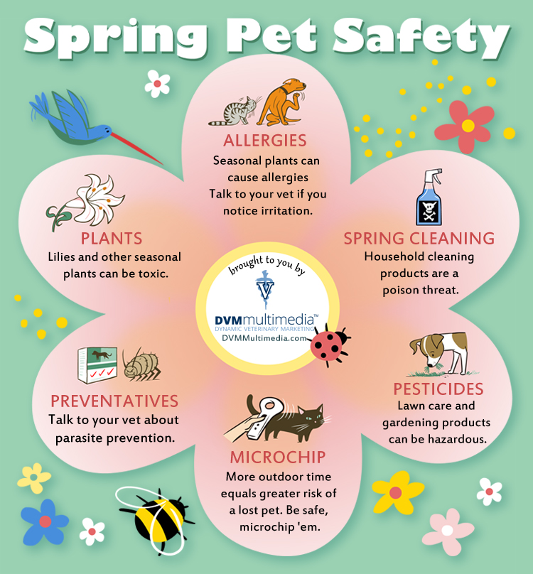 News Spring Pet Safety Tips News Spring Pet Safety Tips